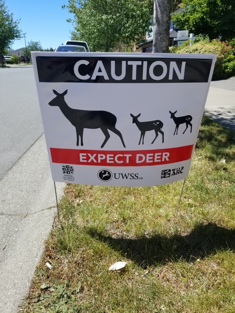 FOTOPRINT - Your Vision in Print - Lawn/Yard Signs